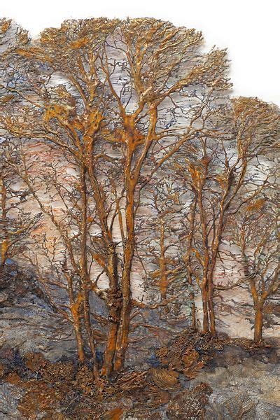 Best GCSE ART Tree Bark Ideas Tree Bark Art Gcse Art