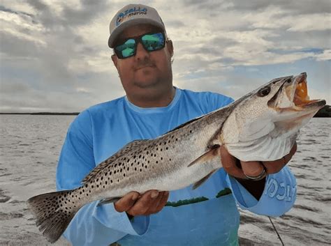 Tips And Tricks For Speckled Trout Usangler