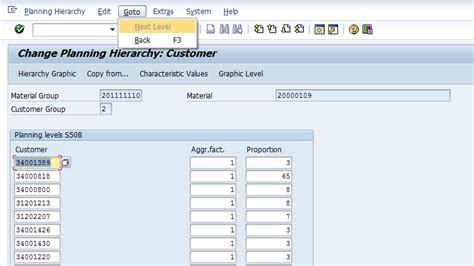 Next Leveloption Not Available While Creating Pl Sap Community