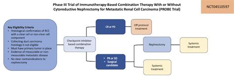 Southern CA GU Cancer Research Forum RCC Case Based Trial Discussions Localized RCC