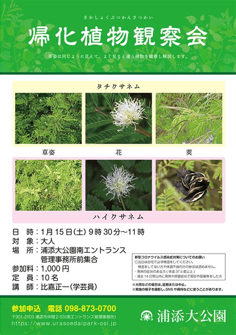 浦添大公園 「帰化植物観察会」 2022年01月15日 土 浦添の地域密着型ポータルサイト「ビジネス・モール うらそえ」
