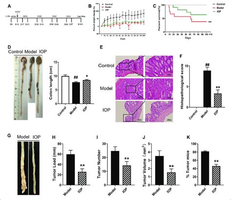 Iop Treatment Reduces The Severity Of Aom Dss Induced Cac In Mice Download Scientific
