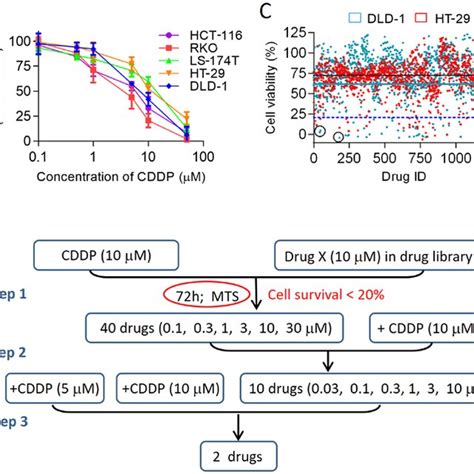 Cell Based High Throughput Screening Hts Of Fda Approved Drug Library