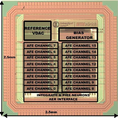 Architecture Of Spaic Analog Front End Asic Download Scientific Diagram