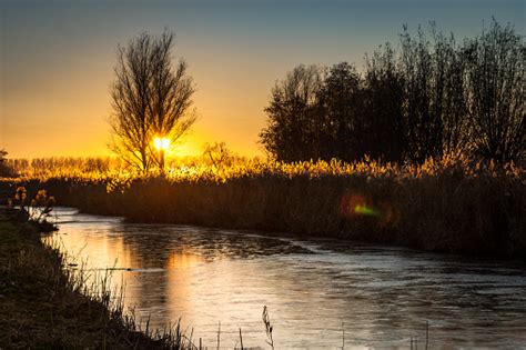 태양은 고 우 타 근처의 네덜란드 시골에 나무 뒤에 설정 합니다 운하에 있는 얼어 붙은 물은 하늘의 색깔을 반영 합니다 0명에 대한 스톡 사진 및 기타 이미지 Istock