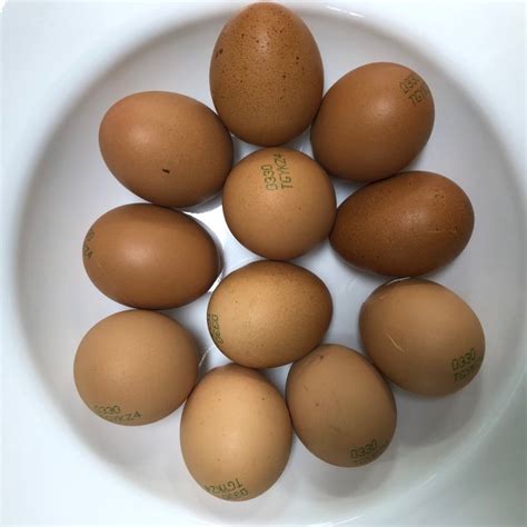 키친아트 라팔 슬로우쿠커 32l 전기냄비 구운계란 맥반석계란만들기 네이버 블로그