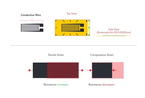Strain Gauge ANYLOAD Weigh Measure