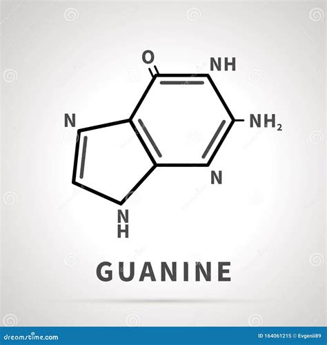 Chemical Structure Of Guanine One Of The Four Main Nucleobases Simple Icon Stock Vector