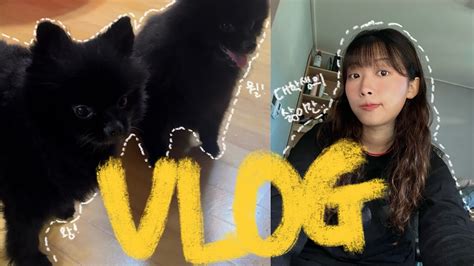 Vlog 대학생 일상 브이로그 ㅣ 토익 시험 ㅣ 청소 빨래왕 ㅣ 과제에 시달리는 대학생의 삶 ㅣ 강아지랑 놀고 요아정 먹는