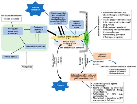 Examples Of Noxious Stimuli Electric Shocks And Nausea Inducing Substances