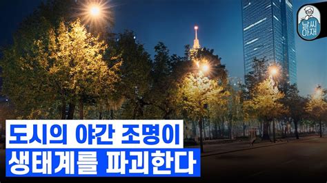 도시의 야간 조명이 생태계를 파괴한다 Youtube