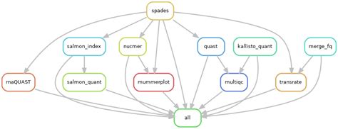 Github Akcorut Snakernaspades A Snakemake Workflow For Performing De Novo Transcriptome