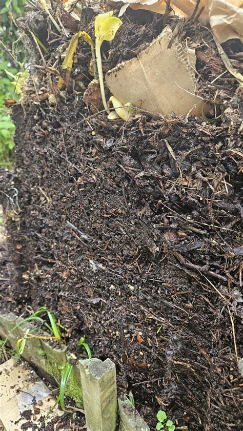 How It Look Cold Compost Just Turned While Adding Coffee Grinds