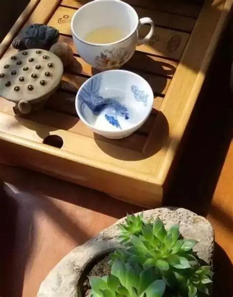 庭院清茶安放我心 每日頭條
