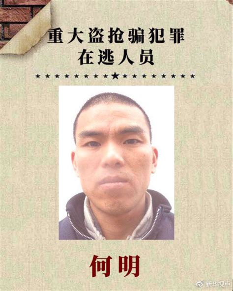 看这里!公安部通缉十名重大盗抢骗犯罪在逃人员新浪新闻 看这里!公安部通缉十名重大盗抢骗犯罪在逃人员新浪新闻