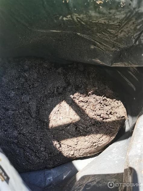 Отзыв о Грунт торфяной Северо западная торфяная компания Универсальный Грунт то что надо