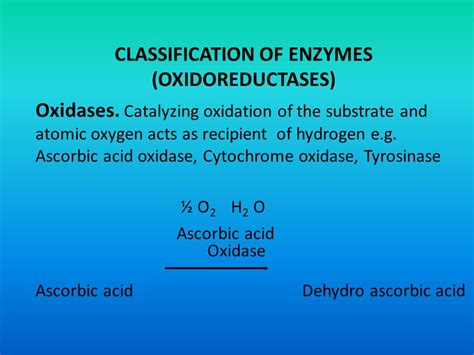 Enzymes Biological Catalysts Which Speed Up The Rate Of Reaction