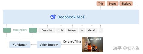 一文搞懂deepseek的技术演进之路：大语言模型、视觉语言理解、多模态统一模型 知乎