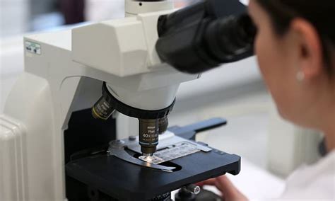 Scientists Find Easy Way To Separate Male And Female Sperm Daily Mail Online