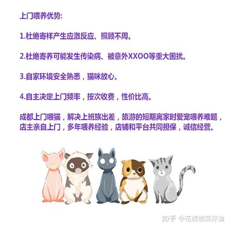 成都上门喂猫遛狗，成都宠物上门喂养怎么样 知乎
