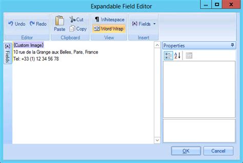Exclaimer Template Editor Conditional Field Example 2