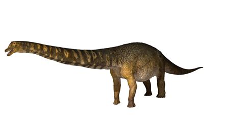 Dinosaurios Reales Encontrados Vivos Hallan En Neuquén Una Nueva