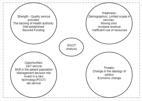 Caretakers Swot Analysis Strategic Discoveries