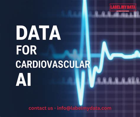 Labelmydata Ai Ready Cardiovascular Datasets For Innovation Label My Data Posted On The Topic