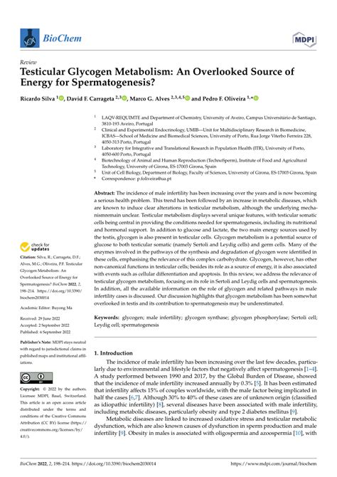 Pdf Testicular Glycogen Metabolism An Overlooked Source Of Energy