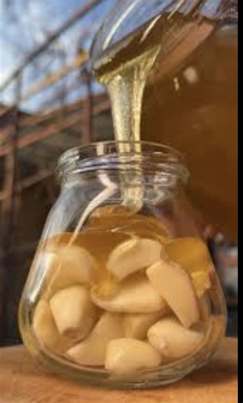 უძველესი ხალხური მალამოები უძველესი ხალხური მალამოები