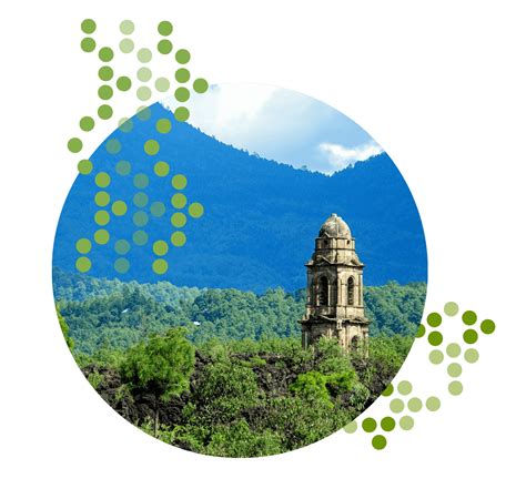 Comité De Sustentabilidad Asociación Mexicana De Energía