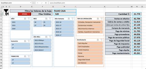 Flujo De Caja Con Una Herramienta Personalizada En Excel Experto En