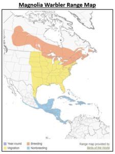 50 Warbler Species Found In The United States Wpics Bird Watching Hq