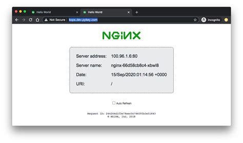 Docker And Kubernetes Ingress Controller On Aws With Kops 2020