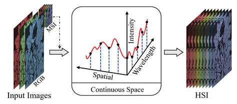 Mingde Yao 姚明德