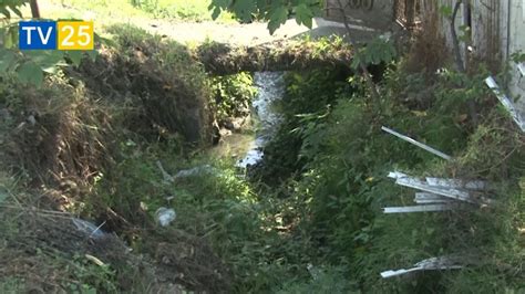 მოუვლელი მამია ვარშანიძის ქუჩა Youtube