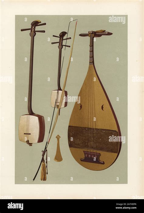 Stringed Musical Instruments Stringed Musical Instruments