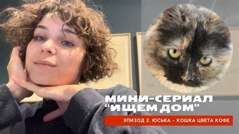 «Ищем дом Эпизод 2 Юська кошка цвета кофе Youtube