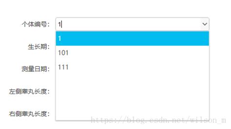 Easyui实现下拉列表补全以及数据关联功能wilsonm的博客 Csdn博客