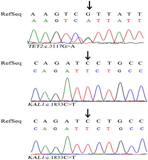 Confirmation Of Inconsistent Genotypes Detected By Targeted Ngs And Snp