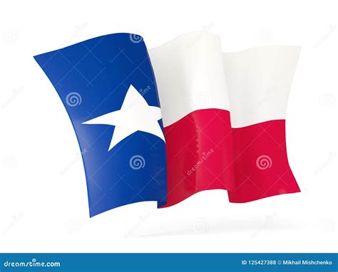 Fine Dondeggiamento Dellicona Della Bandiera Dello Stato Del Texas Su
