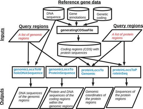 A Workflow Depiction Of All The Functions And Their Inputs Outputs And Download Scientific