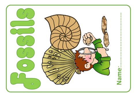 Fossils Teaching Resources Ks1 Ks2 Science History Animals Dinosaurs