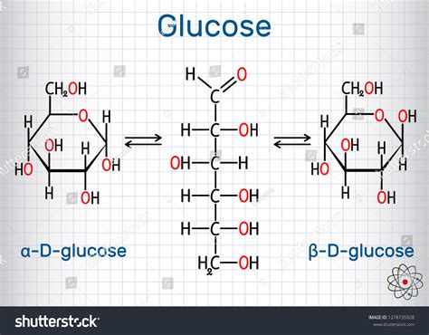 Glucose Dextrose Dglucose Molecule Acyclic Forms Stock Vector Royalty Free 1278735928