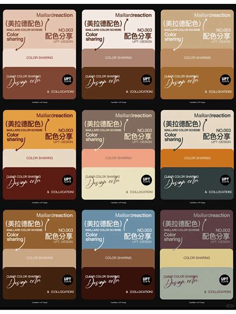 色彩搭配 高级感配色 舒适配色 色彩搭配 配色灵感 浅色 暖色 复古 花瓣网