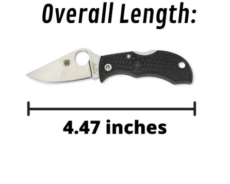 Spyderco Manbug Vs Ladybug [which Knife Is Best For You] Knife Trackers