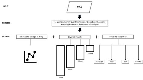 Welcome To Dima User Manual — Dima User Manual Documentation