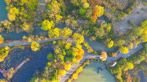 杭州西溪湿地国家公园航拍图片素材 杭州西溪湿地国家公园航拍设计素材 杭州西溪湿地国家公园航拍摄影作品 杭州西溪湿地国家公园航拍源文件下载 杭州