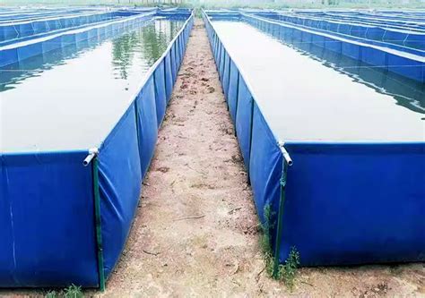 Загасны хиймэл цөөрөм