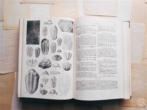 fossil index — moonshadow press